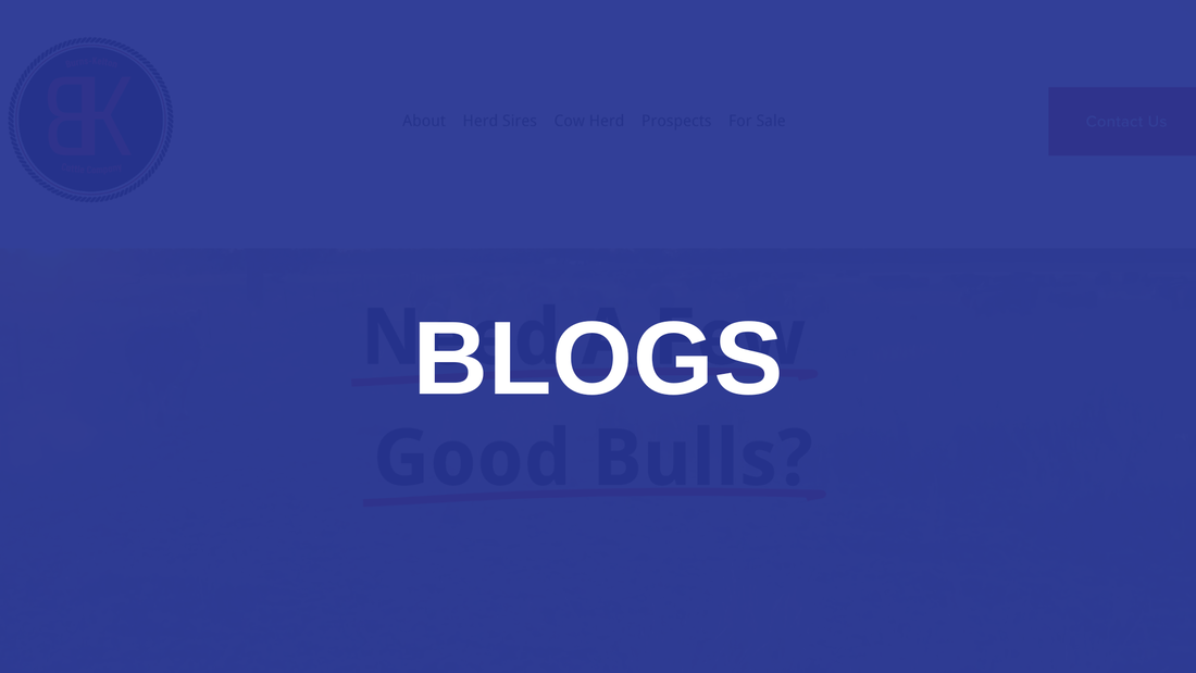 Production - Colleen Callahan Consultancy