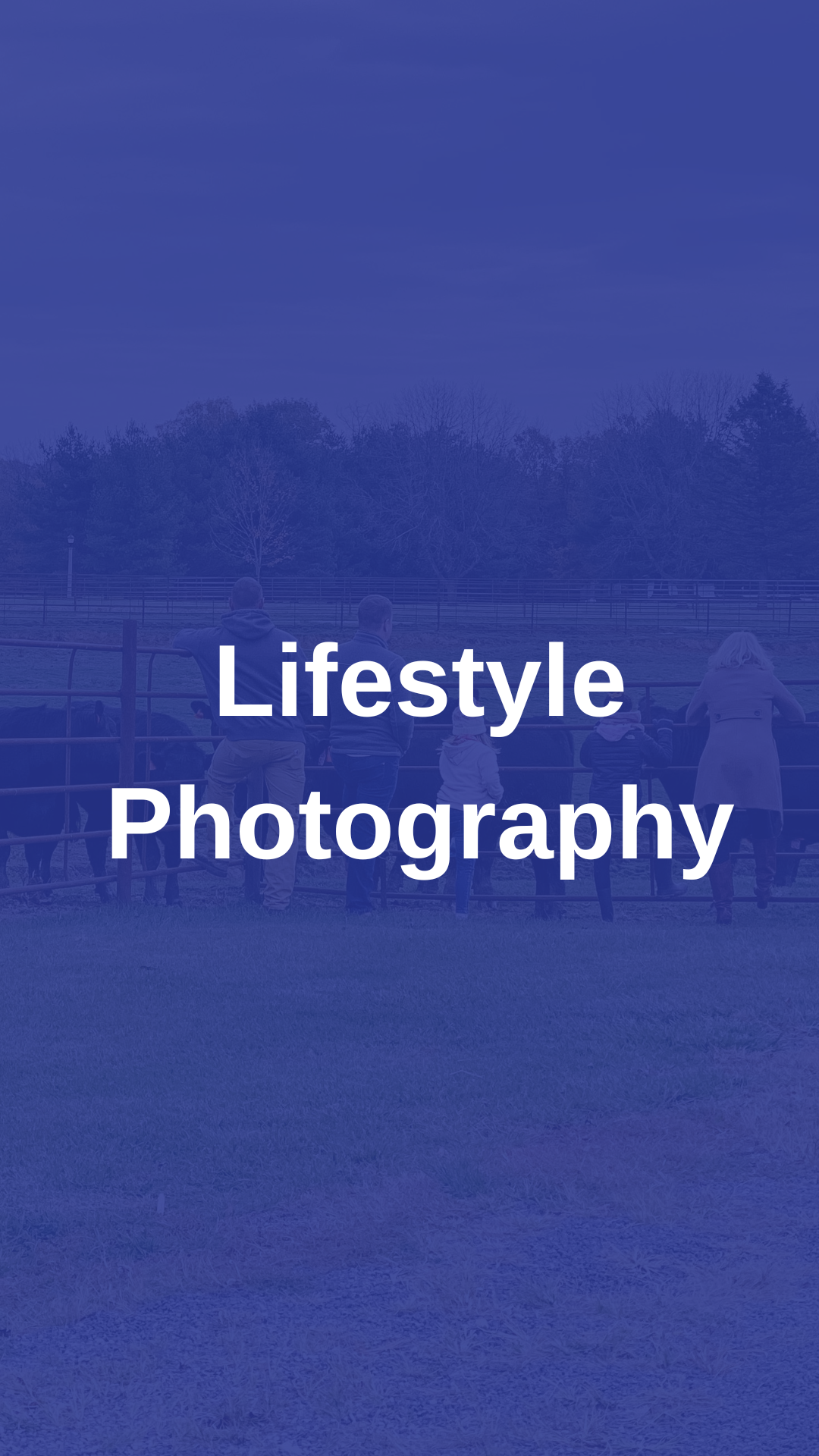 Production - Colleen Callahan Consultancy